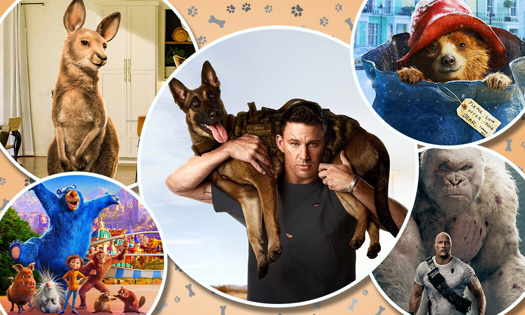Top 8 Popular Human-Animal Relationships on Screen- CATCHPLAY+ Ed. Says